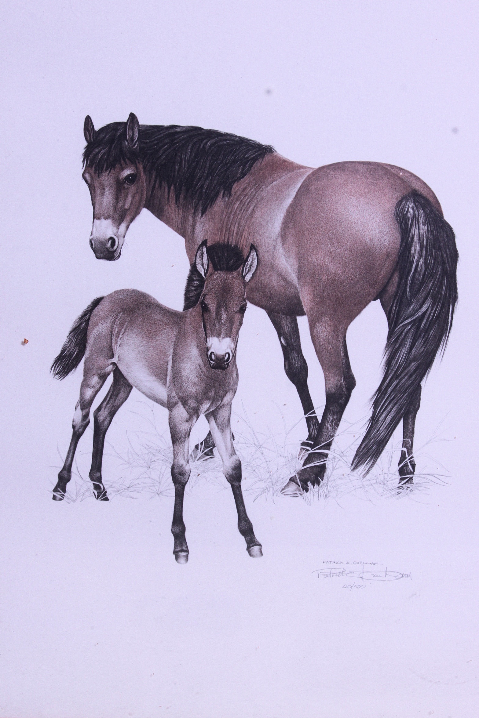 Patrick A Oxenham. A framed limted editionwatercolour print of horse ...
