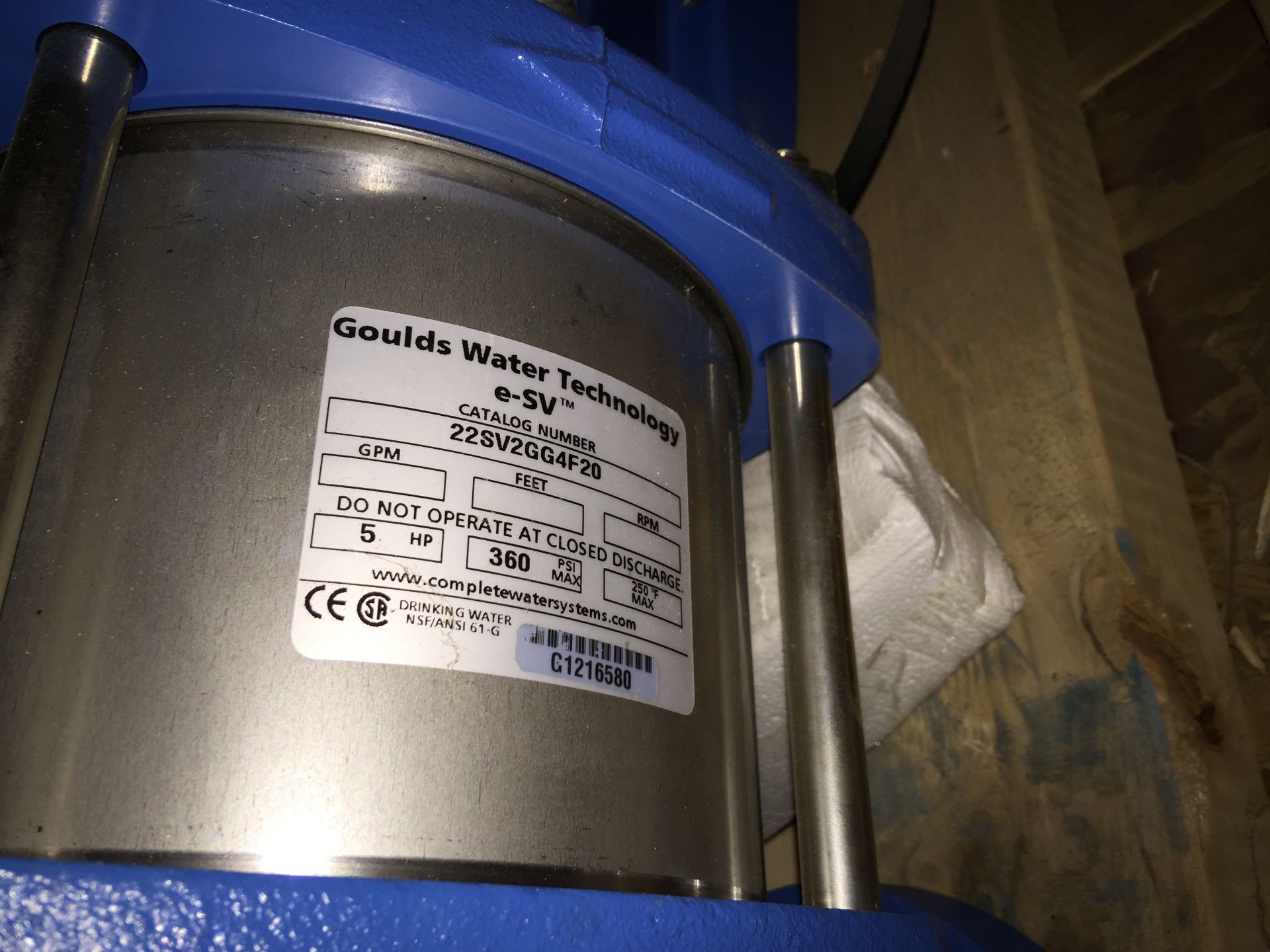 Xylem Goulds 5 HP 2 Stage ESV Series Vertical Multi-Stage Water Pump ...