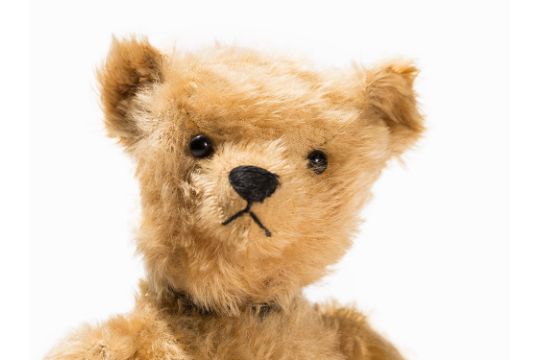 A Bing Teddy Bear with Mechanical Movable Head, circa 1910 Blond mohair ...