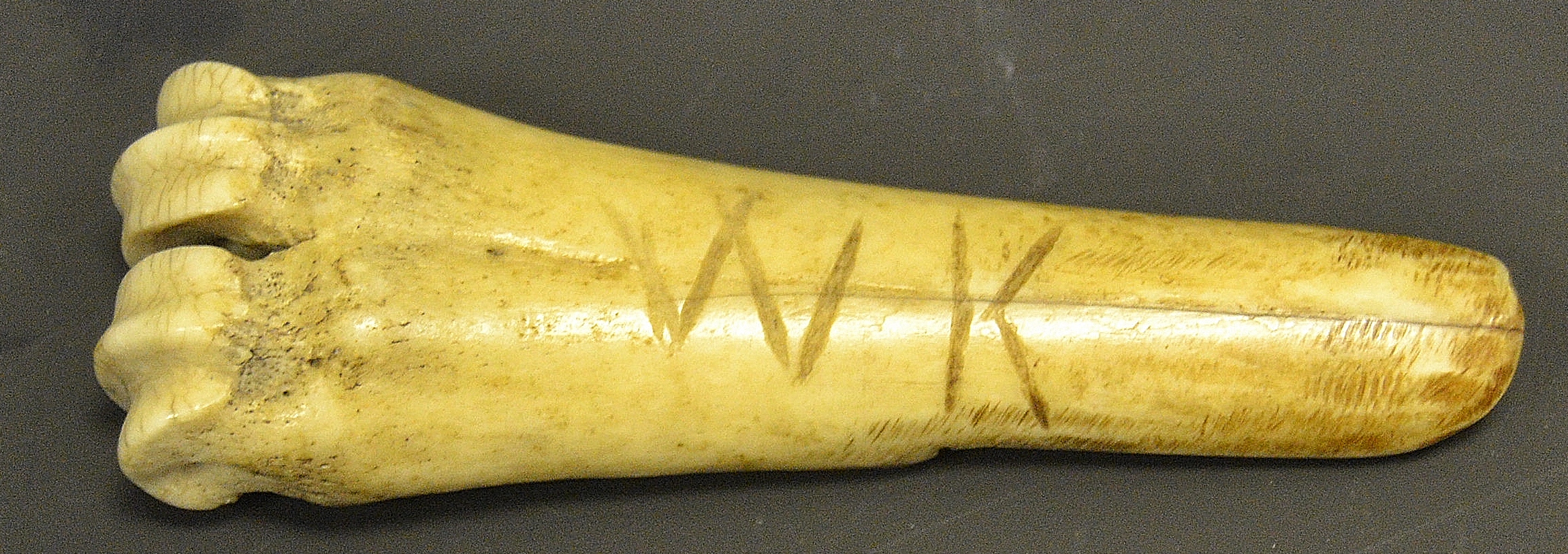 A Napoleonic prisoner of war bone apple corer, early 19th century.