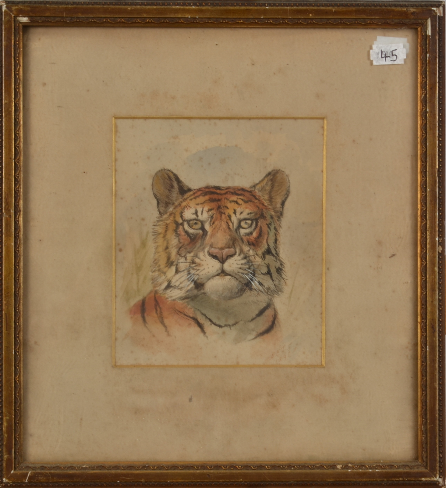 RICHARD COPELAND 'SEAL' WEATHERBY Lion cub sketch Together with a ...