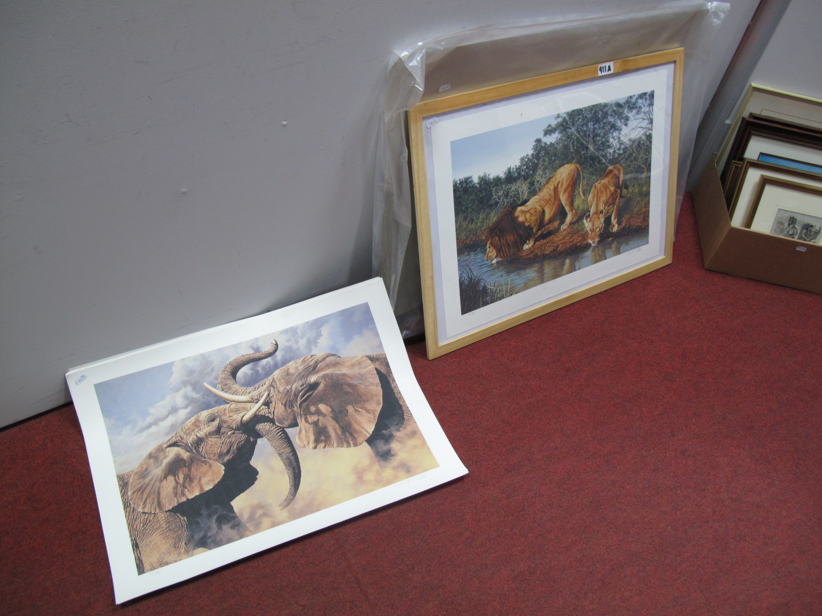 Tony Ribton Signed Limited Edition Prints of Wildlife Animals ...