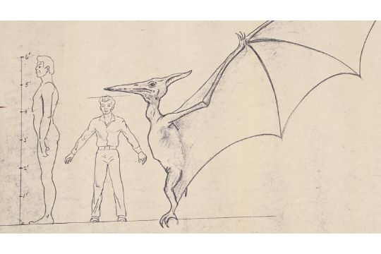 THE VALLEY OF GWANGI (1969) - Ray Harryhausen Pterodactylus Scale ...