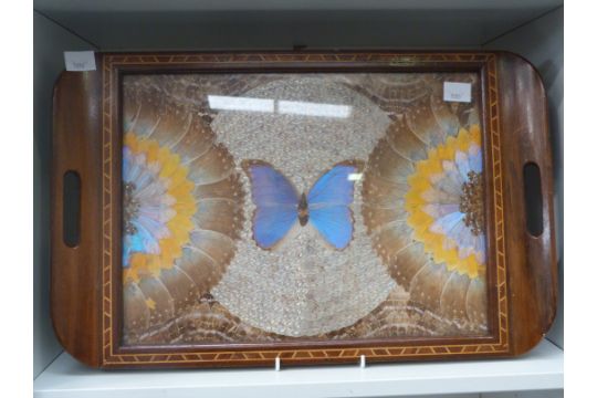 A Hardwood Inlaid Butterfly Wing Tray (est. £50-£80)
