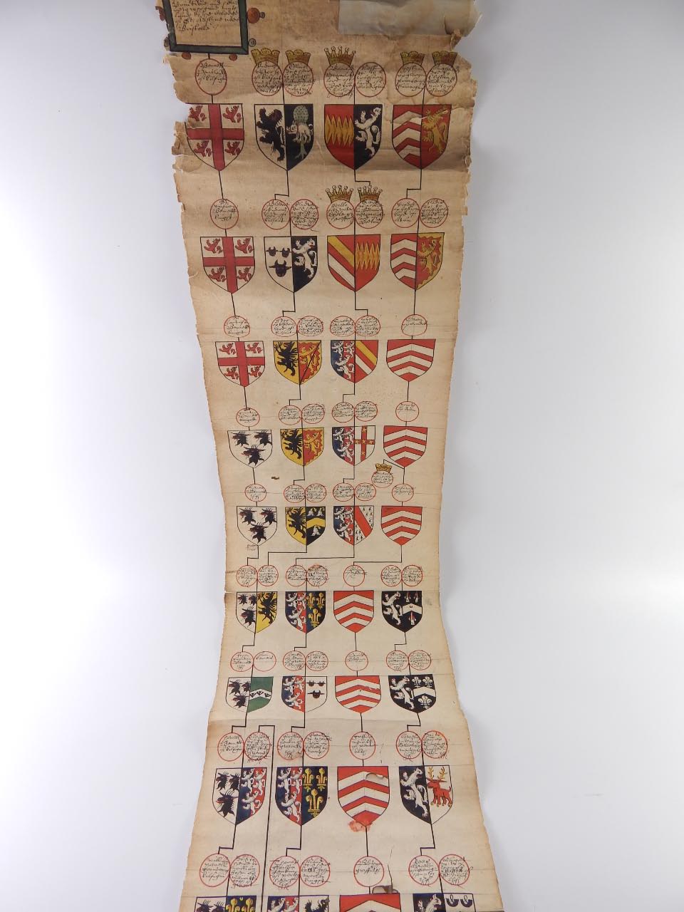 A 17thC genealogical scroll, hand painted with coats of arms and ...