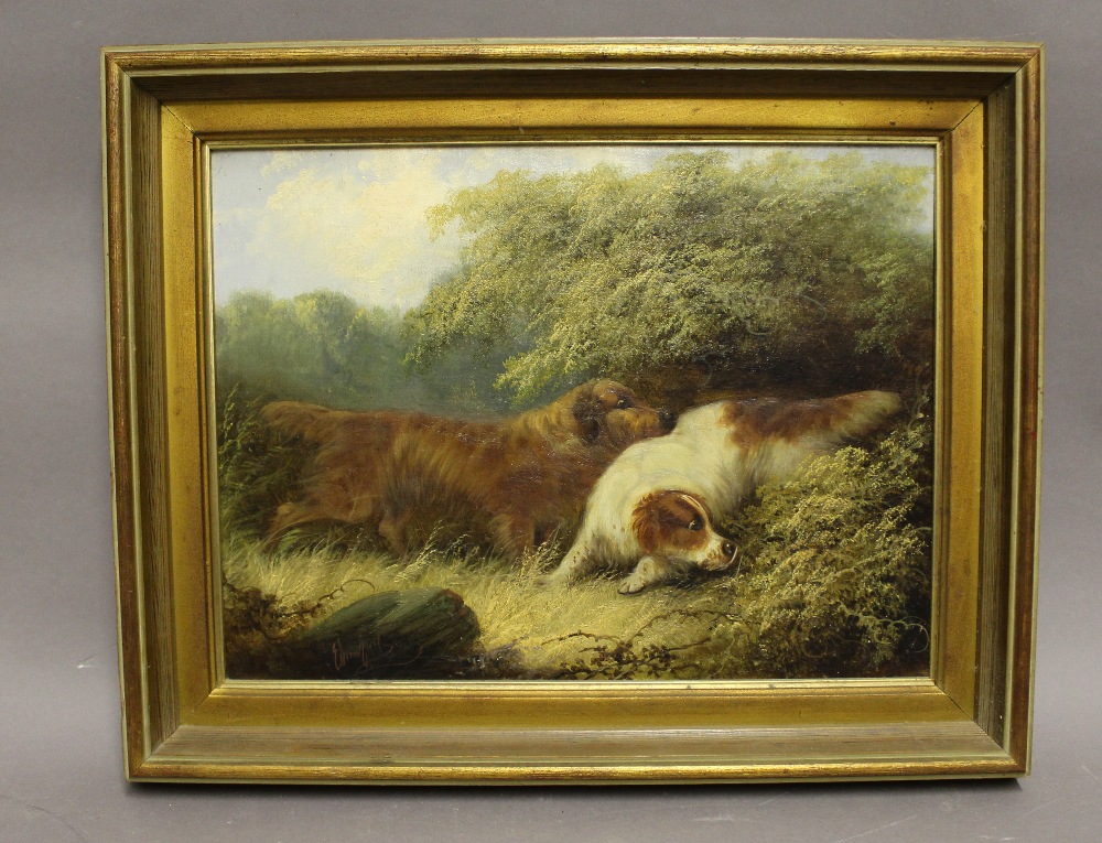 Edward Armfield (1817-1896) - Oil painting - Two dogs hunting, canvas ...