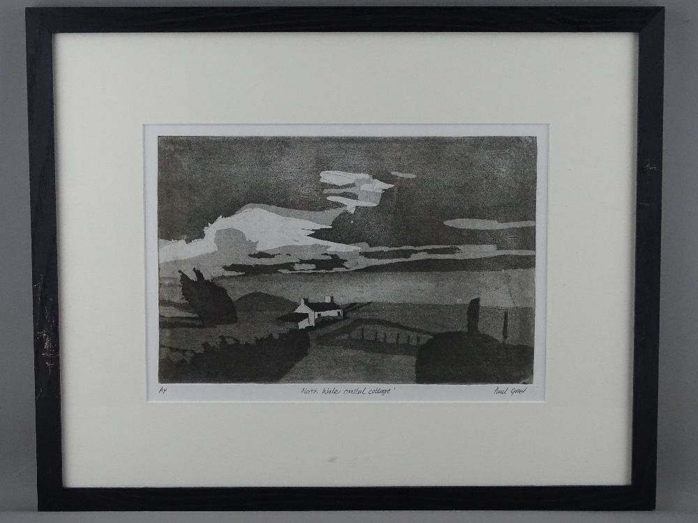 PAUL GREER artist's proof etching - landscape titled 'North Wales ...