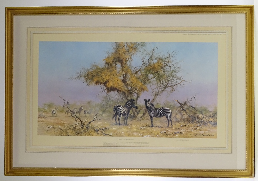 David Shepherd, 2 colour prints, old Charlie and zebras and Colony ...