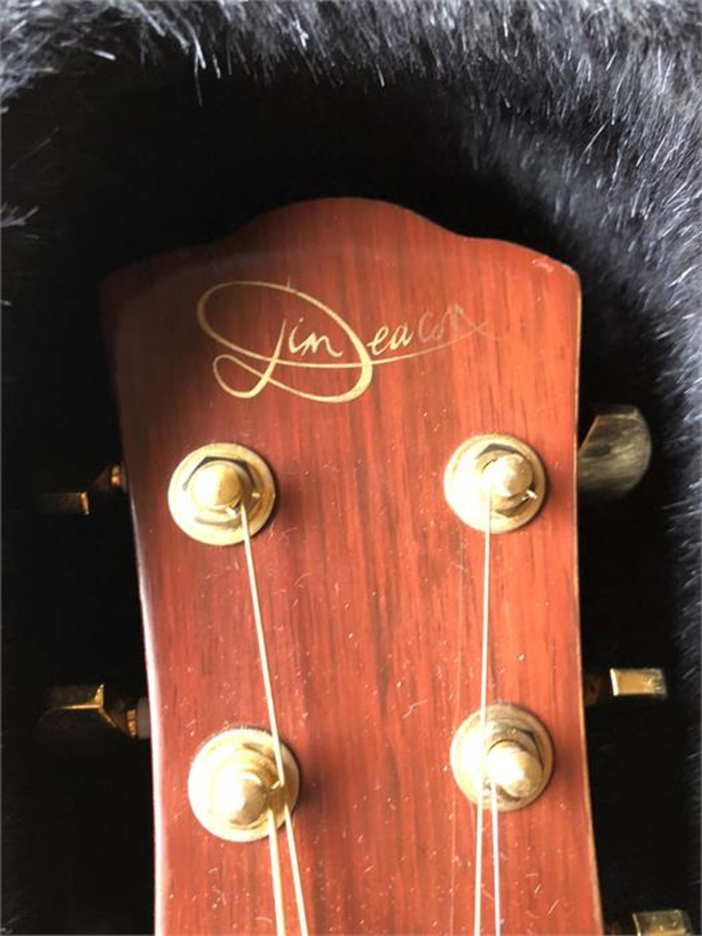 A Jim Deacon Guitar and case