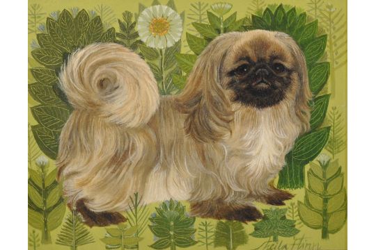 Sheila Flinn (20th Century) British. Study of a Pekingese, Oil on ...