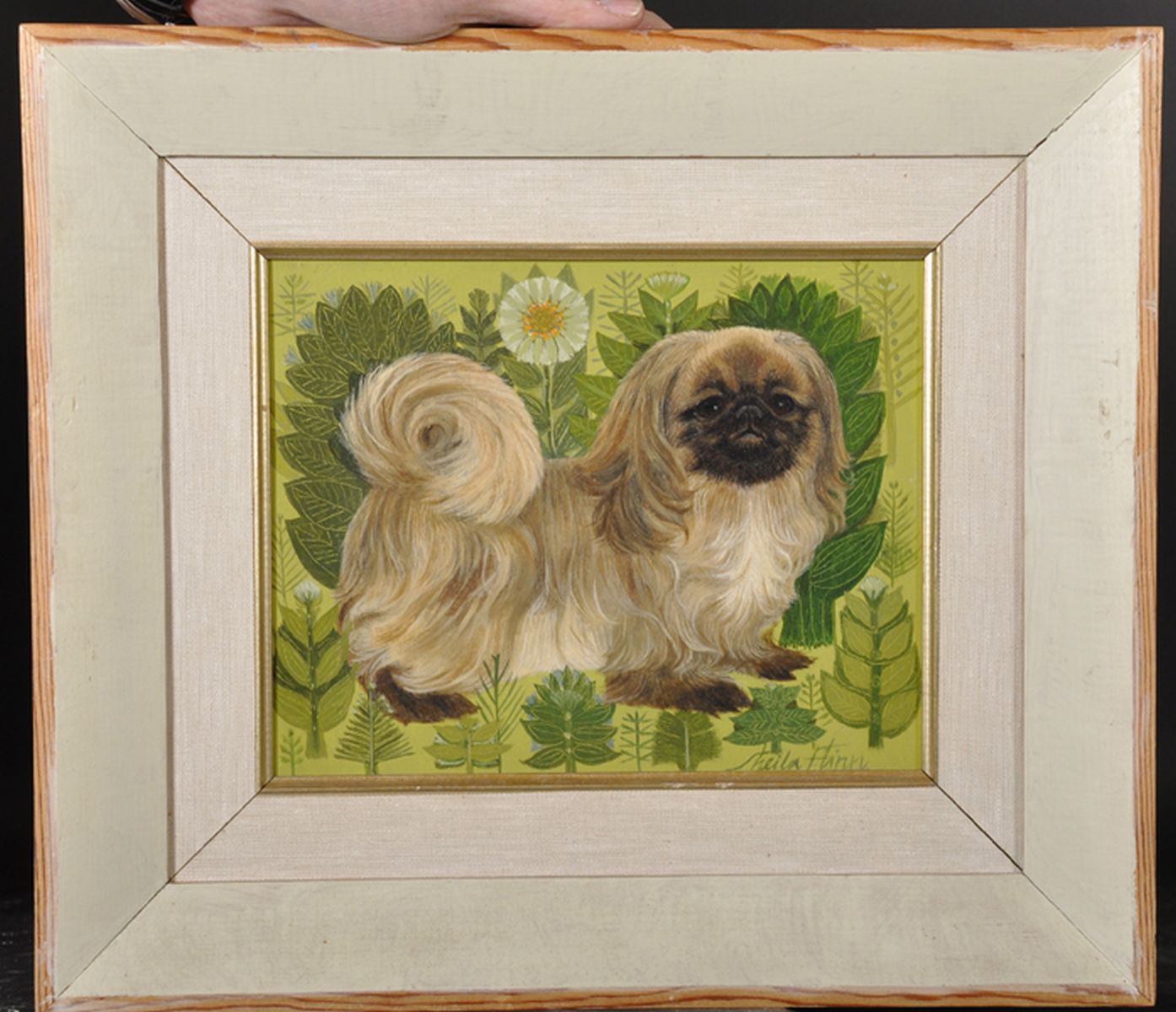 Sheila Flinn (20th Century) British. Study of a Pekingese, Oil on ...