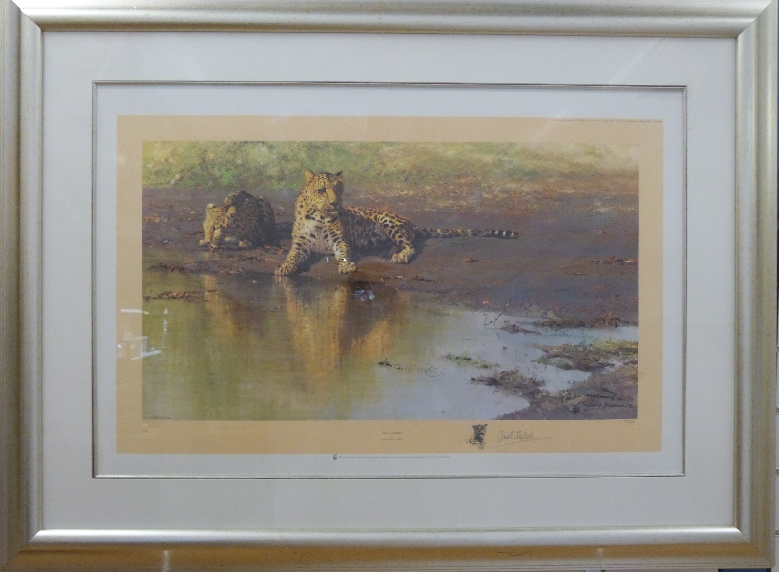 David Sheppard OBE signed limited edition print 5 / 850 'Cool Waters ...