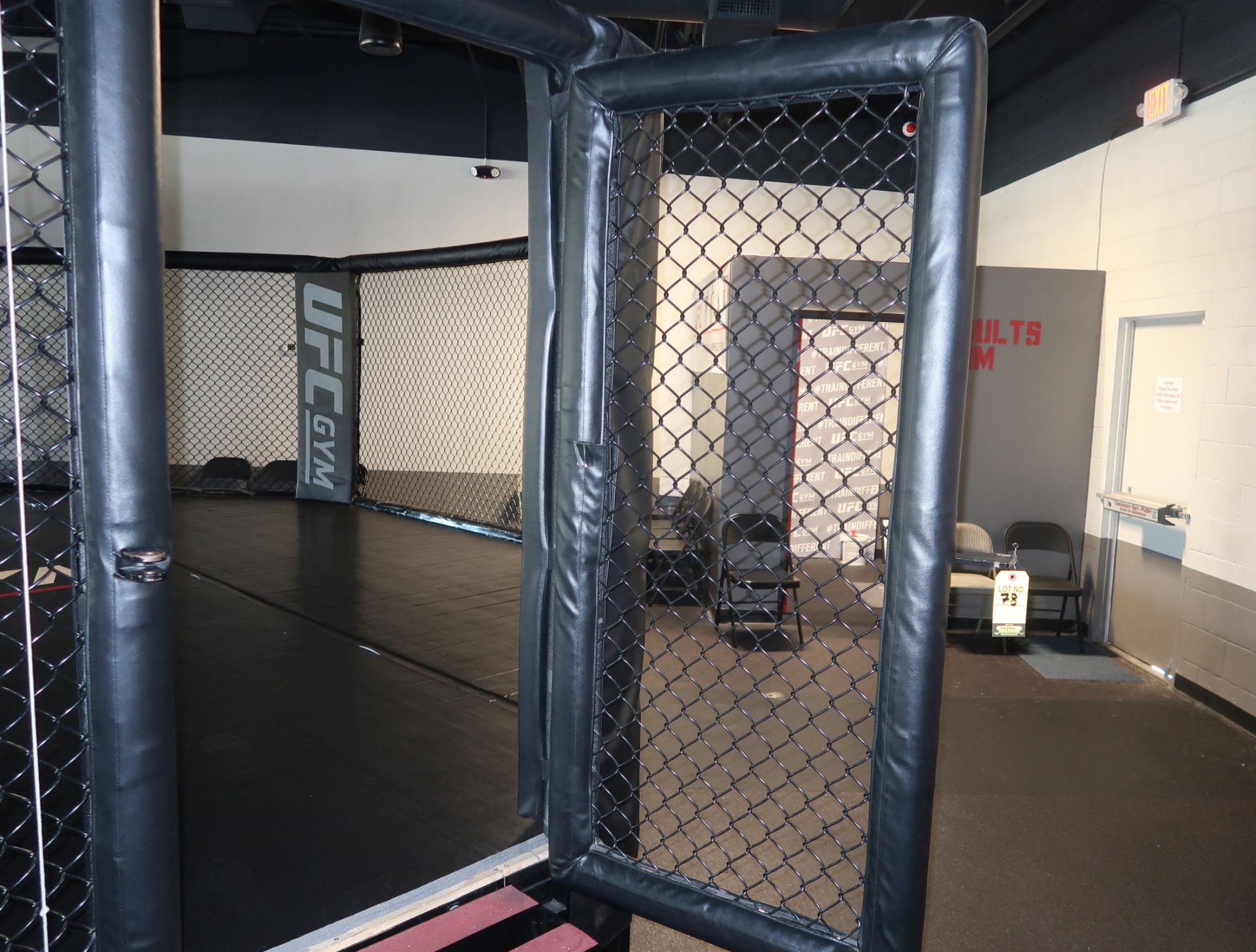 UFC OCTAGON CAGE