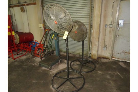 (2) 24" DAYTON PEDESTAL FANS