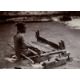 Collection of 83 orig. photographs showing pictures predominantly of ...