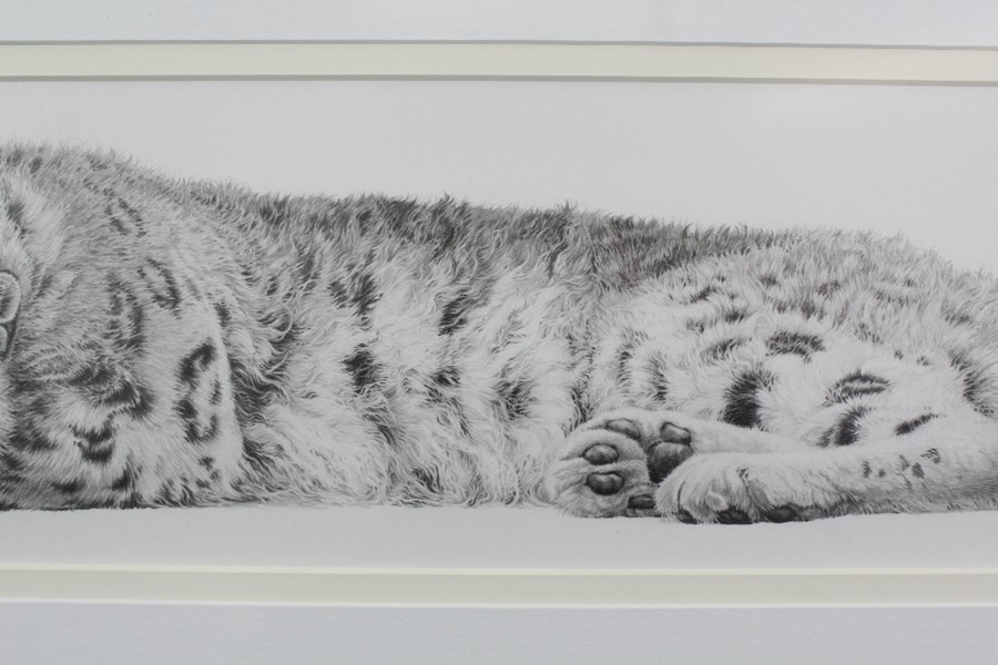 Gary Hodges (1954- ) Original Pencil Drawing entitled 'Snow Leopard ...