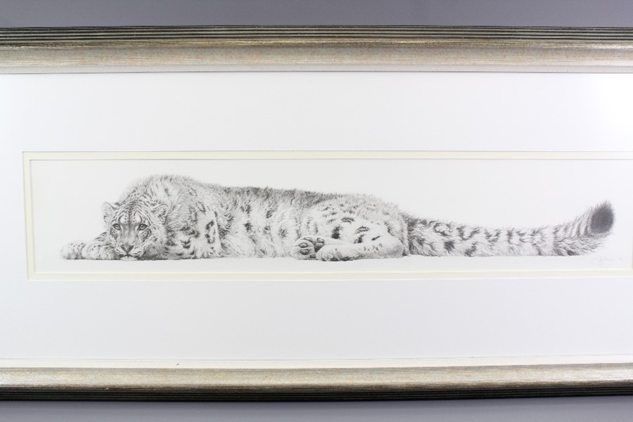Gary Hodges (1954- ) Original Pencil Drawing entitled 'Snow Leopard ...
