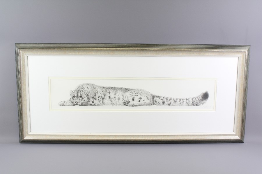 Gary Hodges (1954- ) Original Pencil Drawing entitled 'Snow Leopard ...
