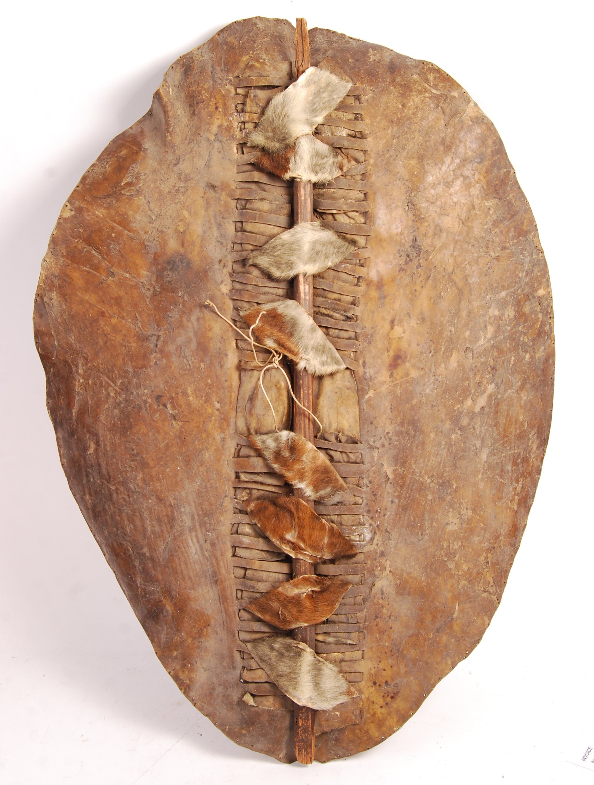 A 19th century African Anglo Zulu Nguni people war or warrior shield ...
