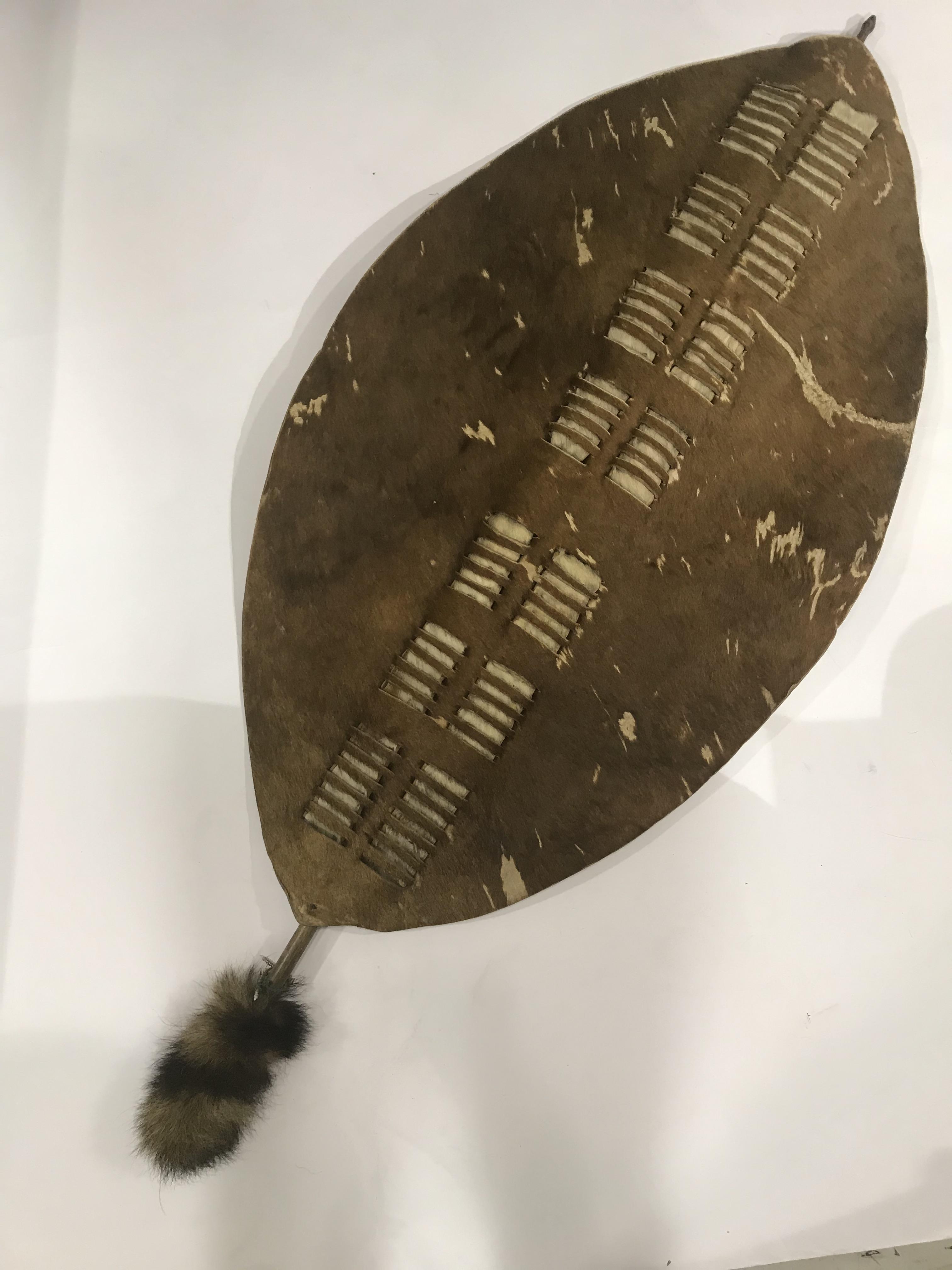 AFRICAN TRIBAL SHIELDS probably Zulu, including a large hide shield of ...