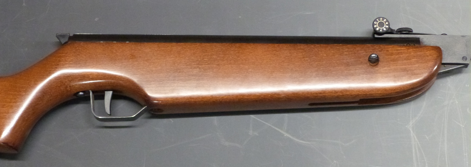 Cometa 300 .22 air rifle with semi-pistol grip and raised cheek piece ...