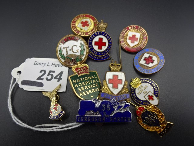 Various pin badges including WAAF, RAF, Red Cross, etc...