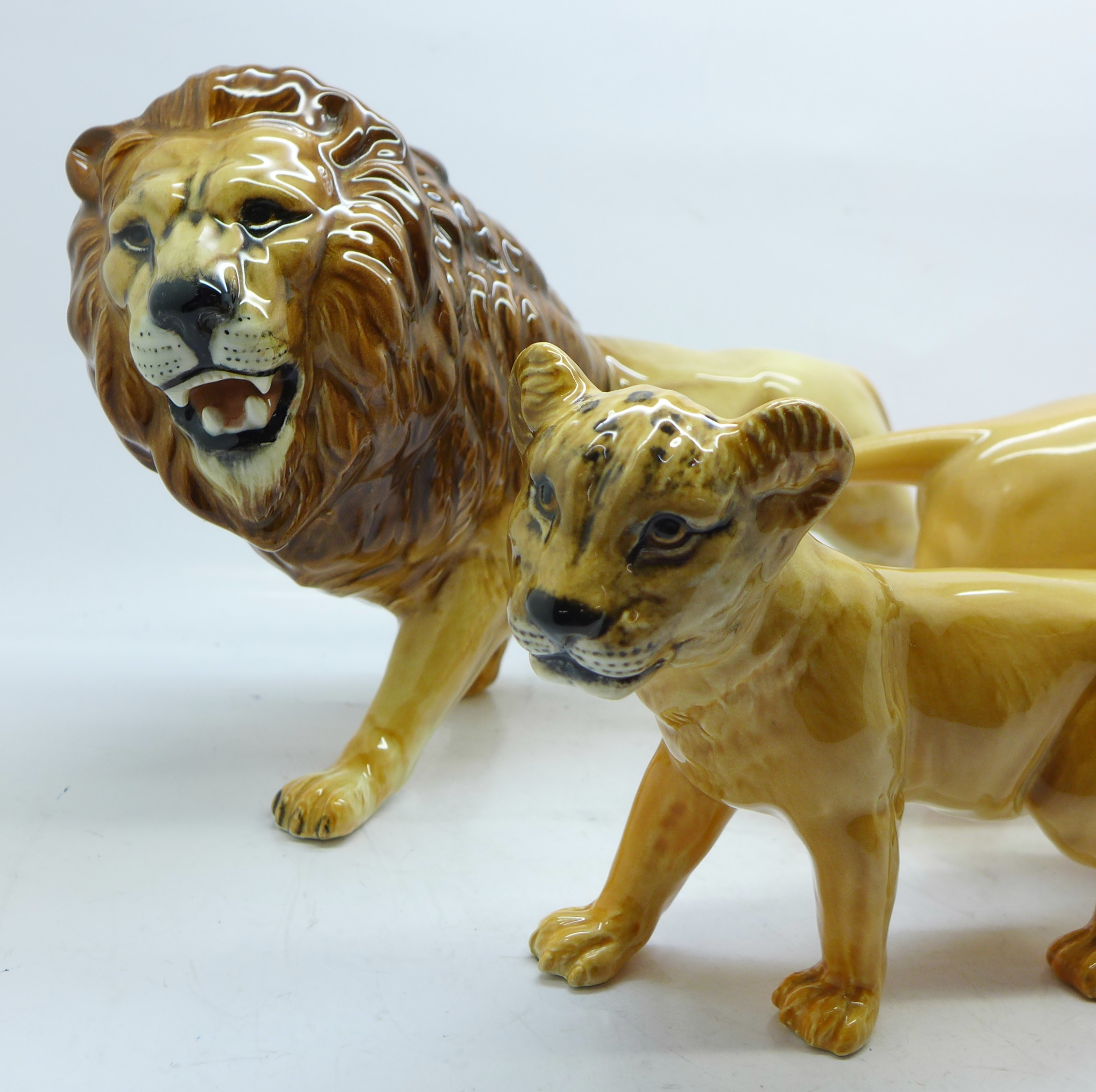 A group of three Beswick model lions, lioness restored (tail)