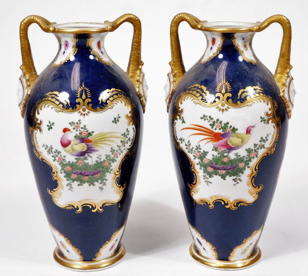 A pair of early 20thC Grainger & Co Worcester porcelain exotic bird ...