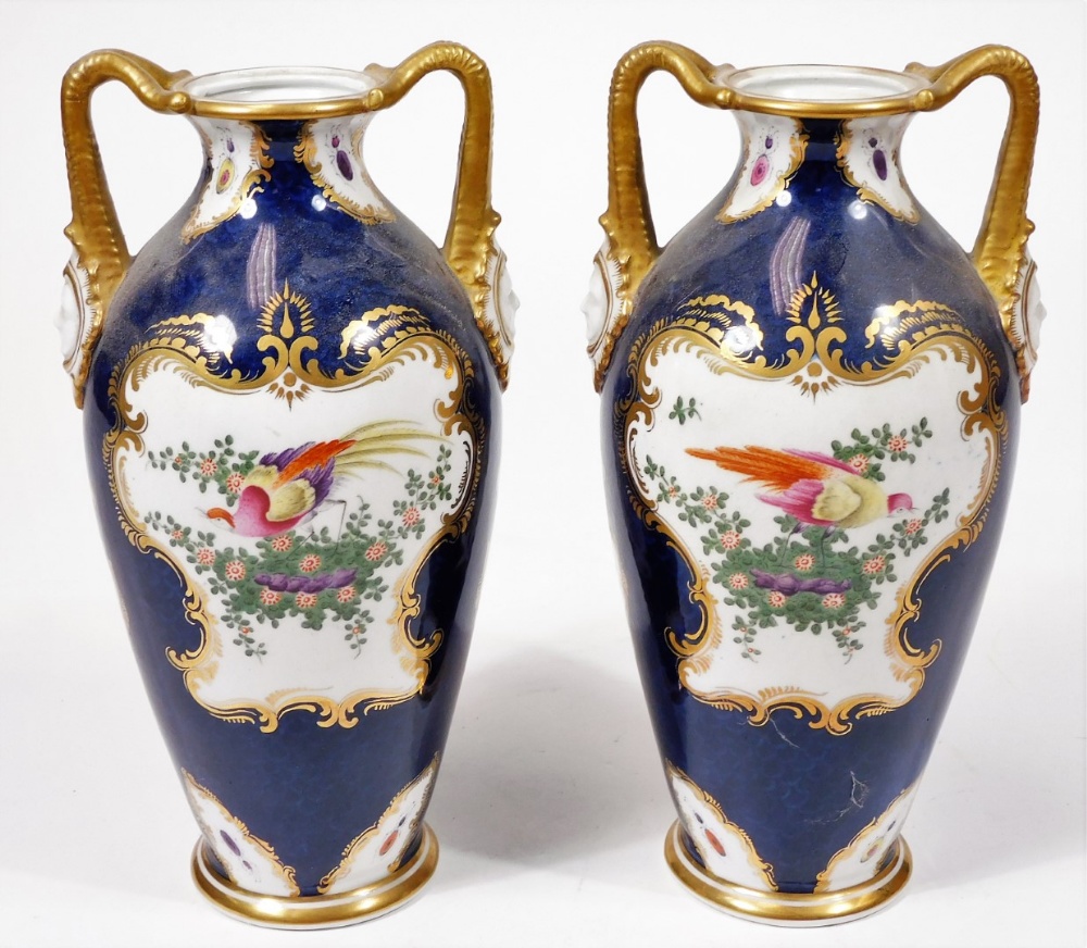 A pair of early 20thC Grainger & Co Worcester porcelain exotic bird ...