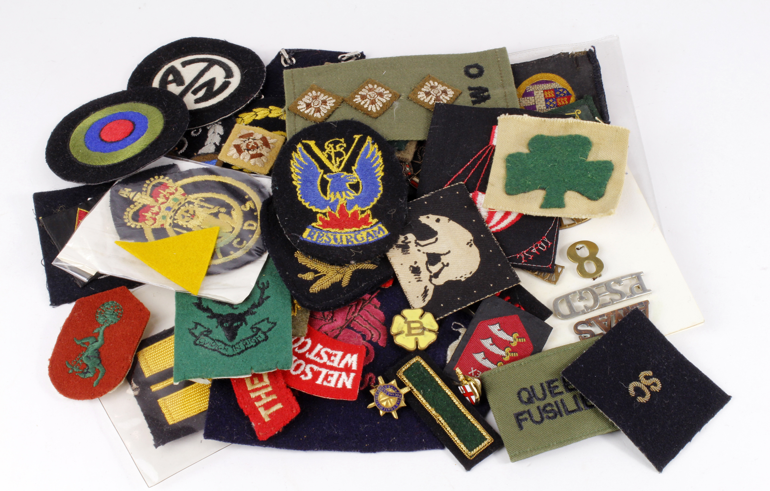 Cloth badges, titles, Div Patches, and a few pin badges, etc. (approx ...