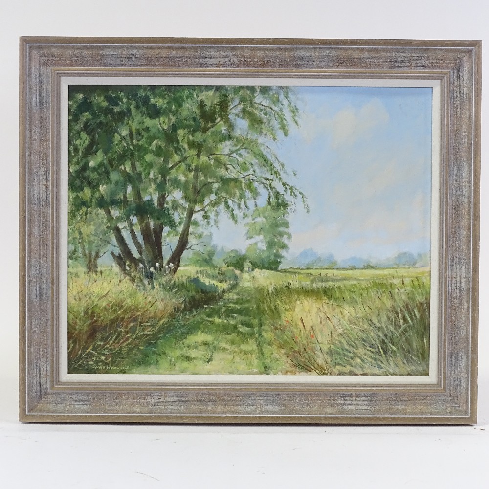 David Hardcastle, 20th century oil on board, Norfolk Broads landscape ...