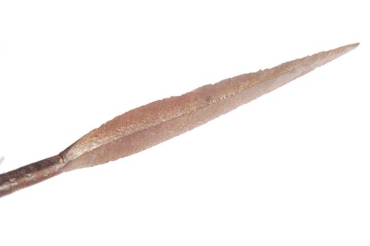 A 19th / 20th Century antique East / Central African Sudanese polearm spear having a large elonga