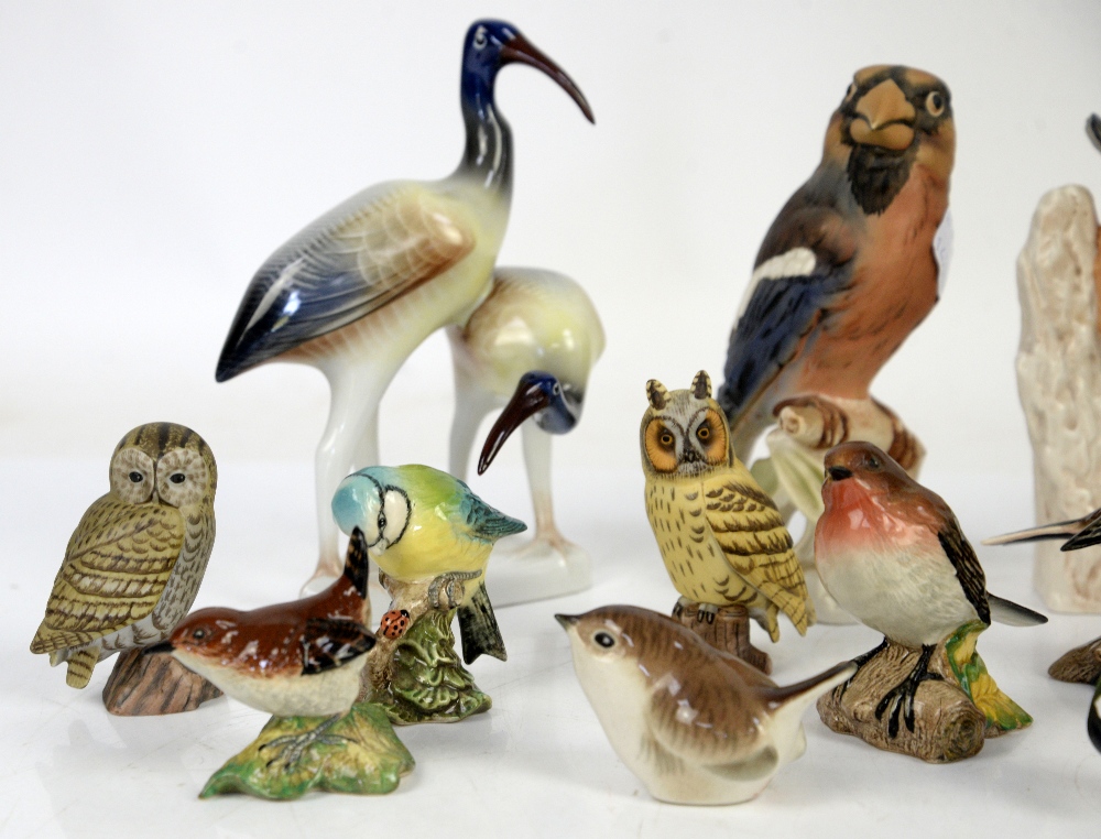 Collection of Beswick birds including blue tit, Wren and Robin x7, and ...