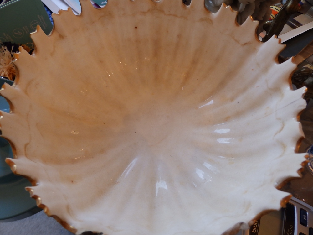 A pair of 19thC Royal Worcester porcelain circular shell-shaped bowls ...