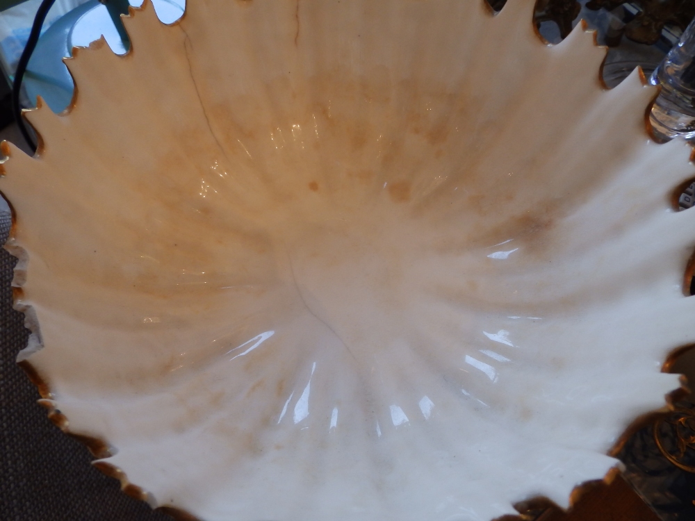 A pair of 19thC Royal Worcester porcelain circular shell-shaped bowls ...