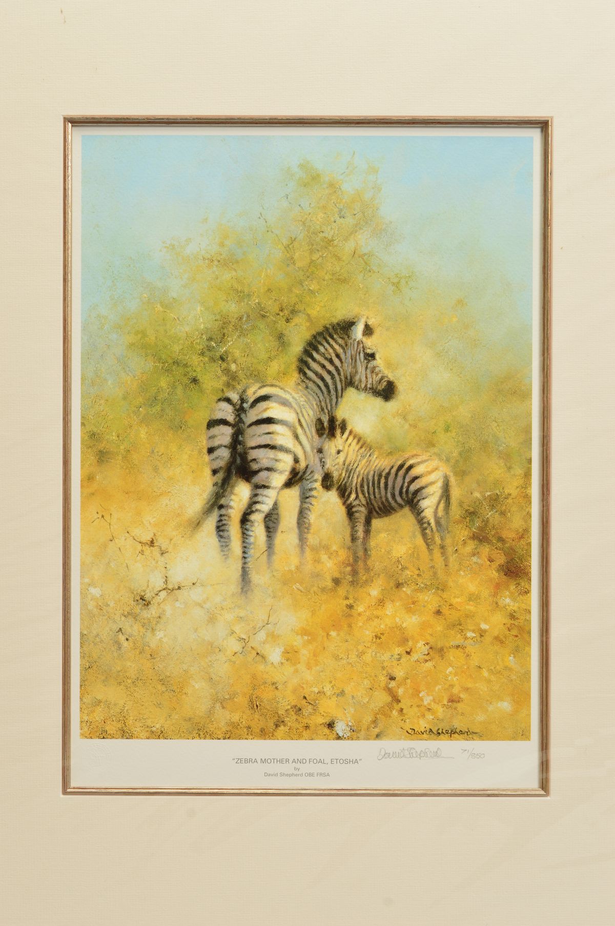 DAVID SHEPHERD (BRITISH 1931-2017), 'Zebra Mother and Foal, Etosha', a ...
