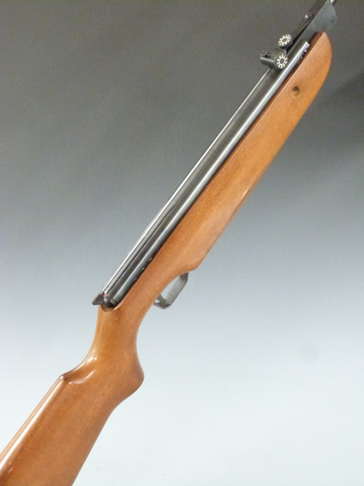 Cometa 300-S .22 air rifle with raised cheek piece and adjustable ...