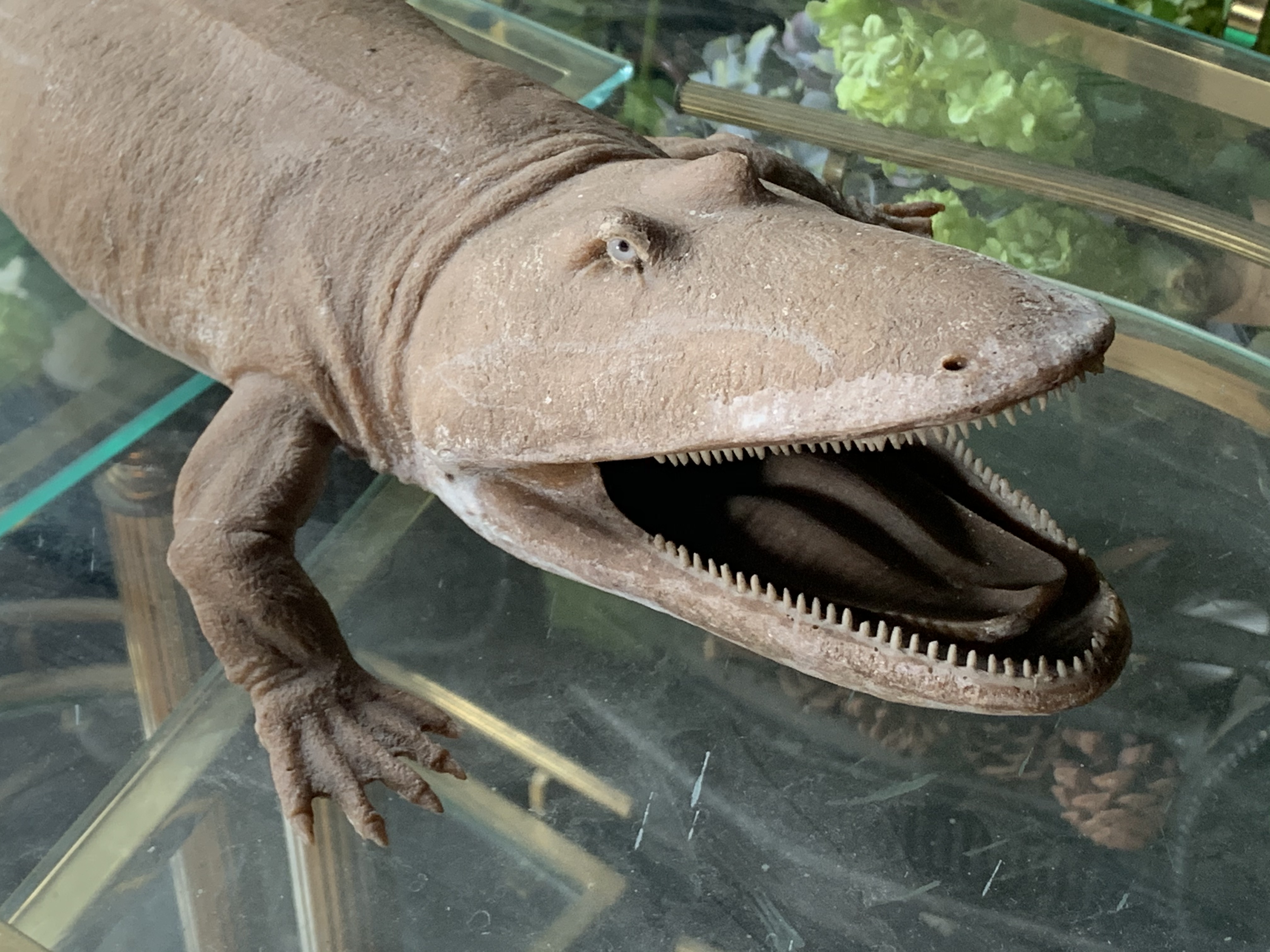 A RARE PARACYCLOTOSAURUS DINOSAUR MODELOne other known in The Natural ...