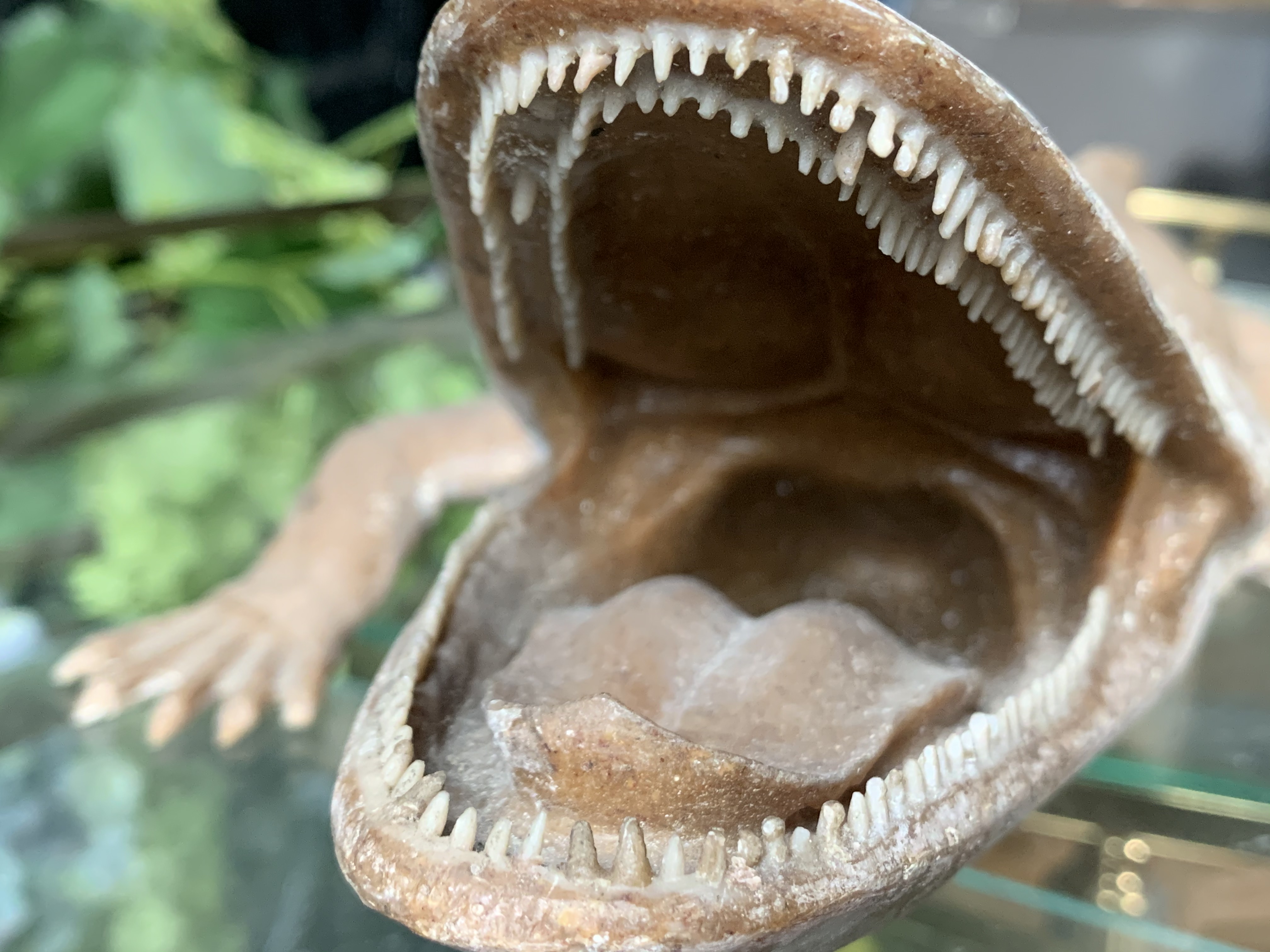 A RARE PARACYCLOTOSAURUS DINOSAUR MODELOne other known in The Natural ...