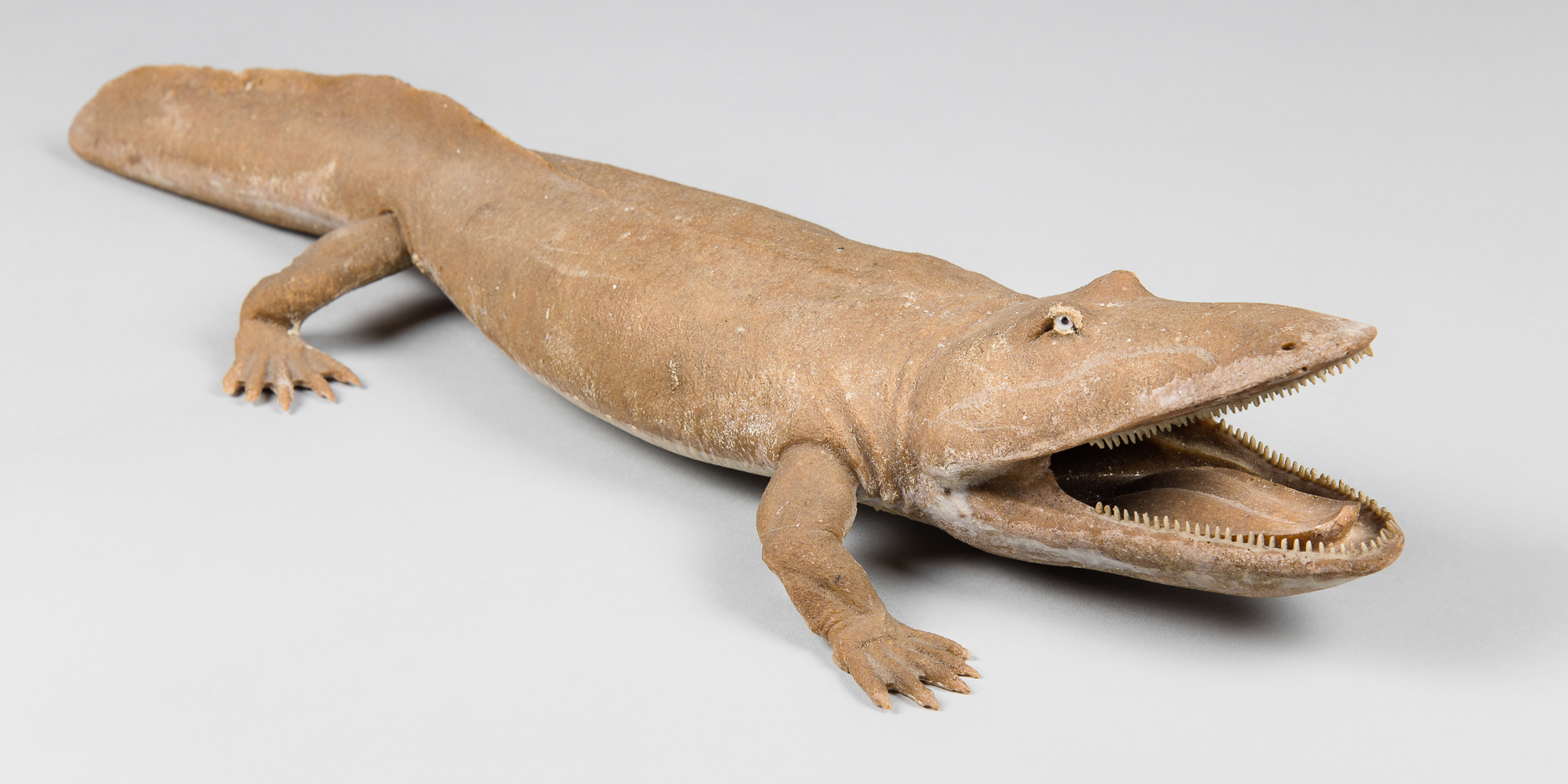 A RARE PARACYCLOTOSAURUS DINOSAUR MODELOne other known in The Natural ...