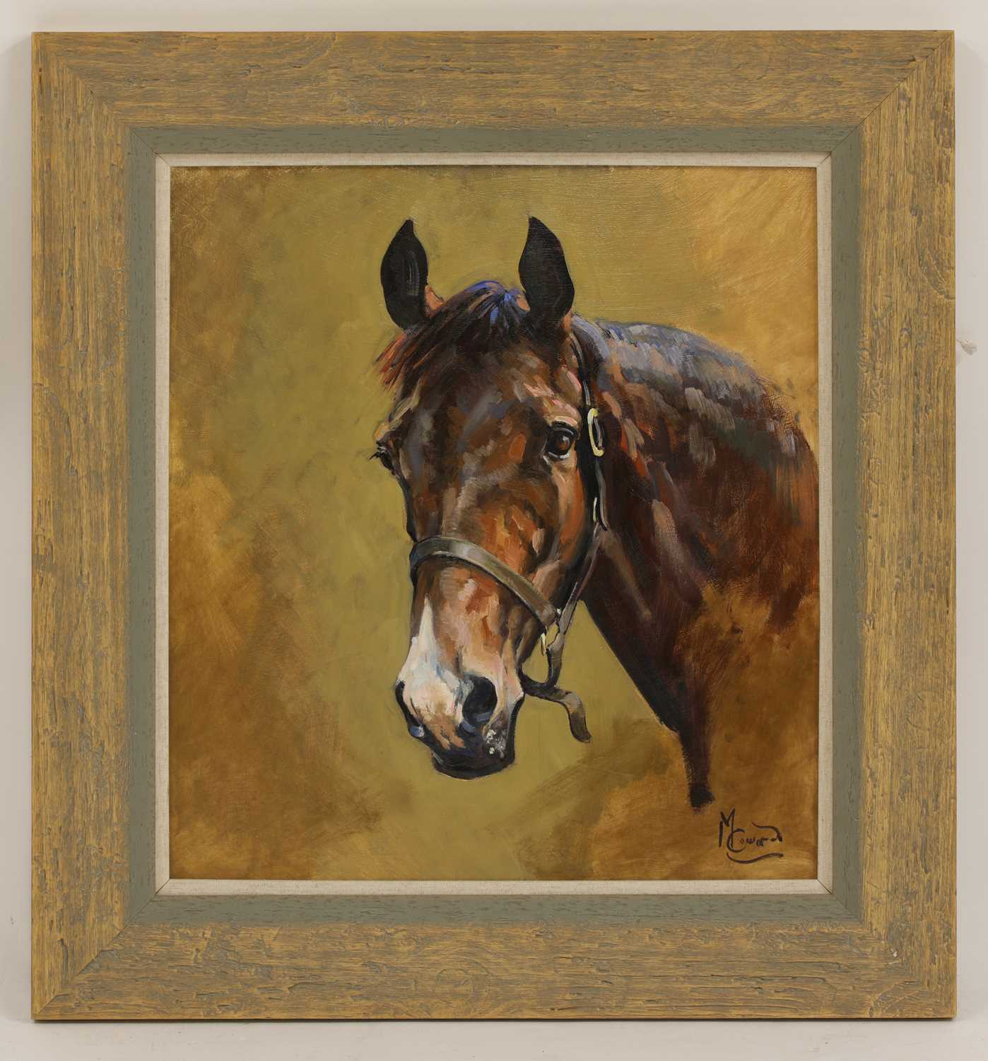 *Malcolm Coward (b.1948)Horse's head studysigned l.r., oil on board52.5 ...
