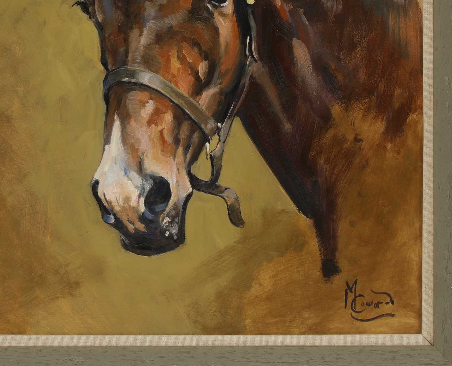 *Malcolm Coward (b.1948)Horse's head studysigned l.r., oil on board52.5 ...