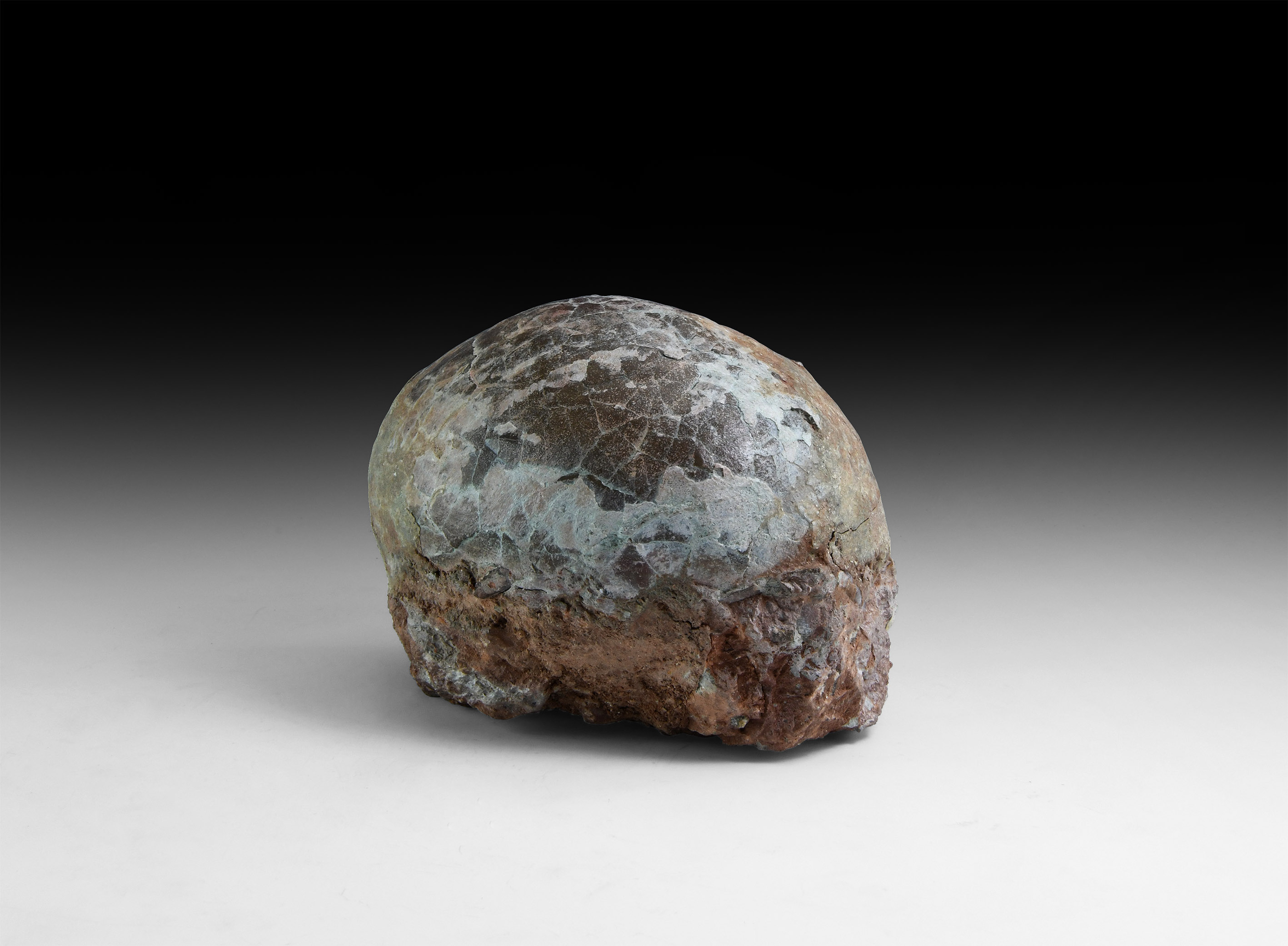 Cretaceous Period, 145-65 million years BP. A large Charonosaurus sp ...