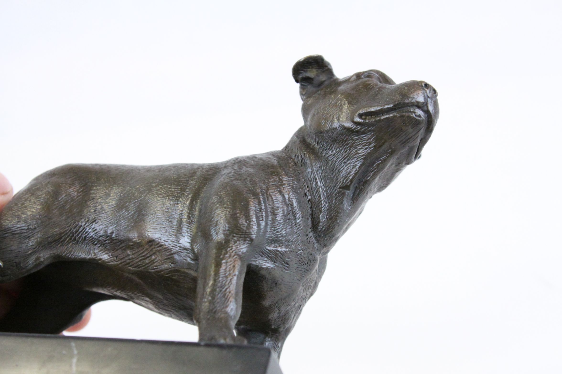 Bronze Staffordshire pitbull terrier on marble base