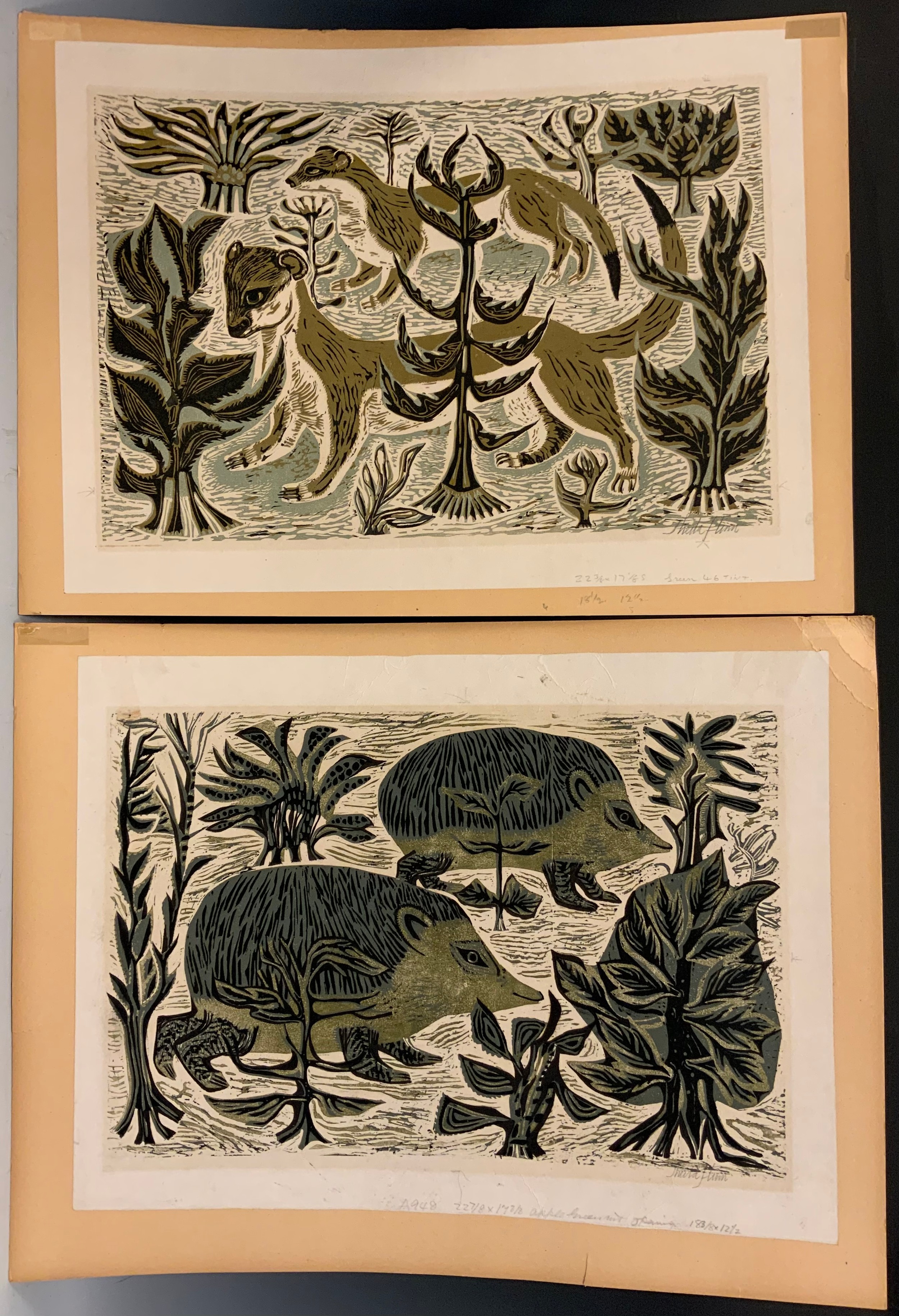 Sheila Flinn, by and after, a pair, 'Stoats' and 'Hedgehogs', signed in ...
