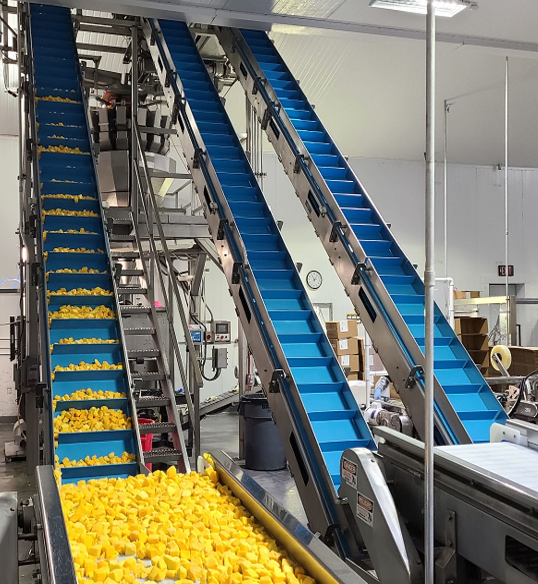 (Lot) Pacmac #1 Bulk Feed Hopper, Belted Transfer Conveyor, Cluster ...