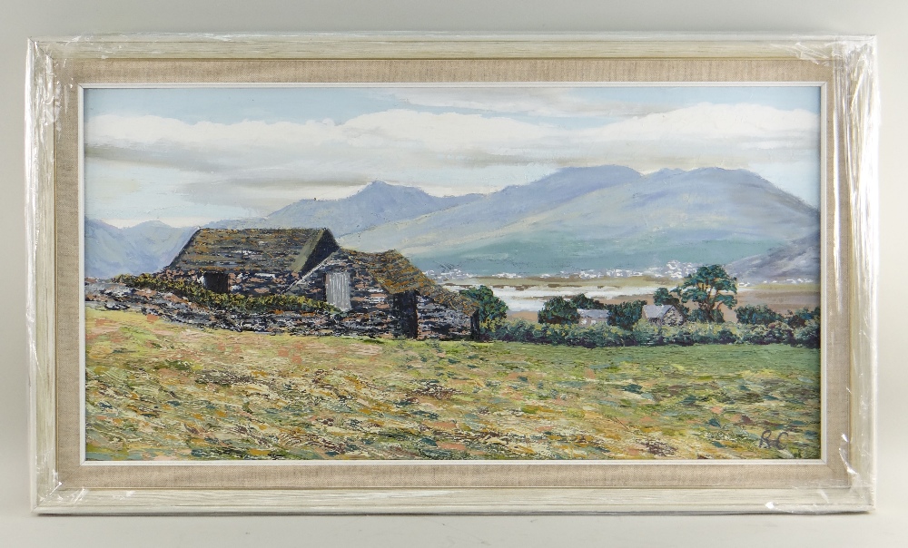 RAY CALDWELL oil on canvas - Gwynedd landscape, entitled verso 'Moelwyn ...