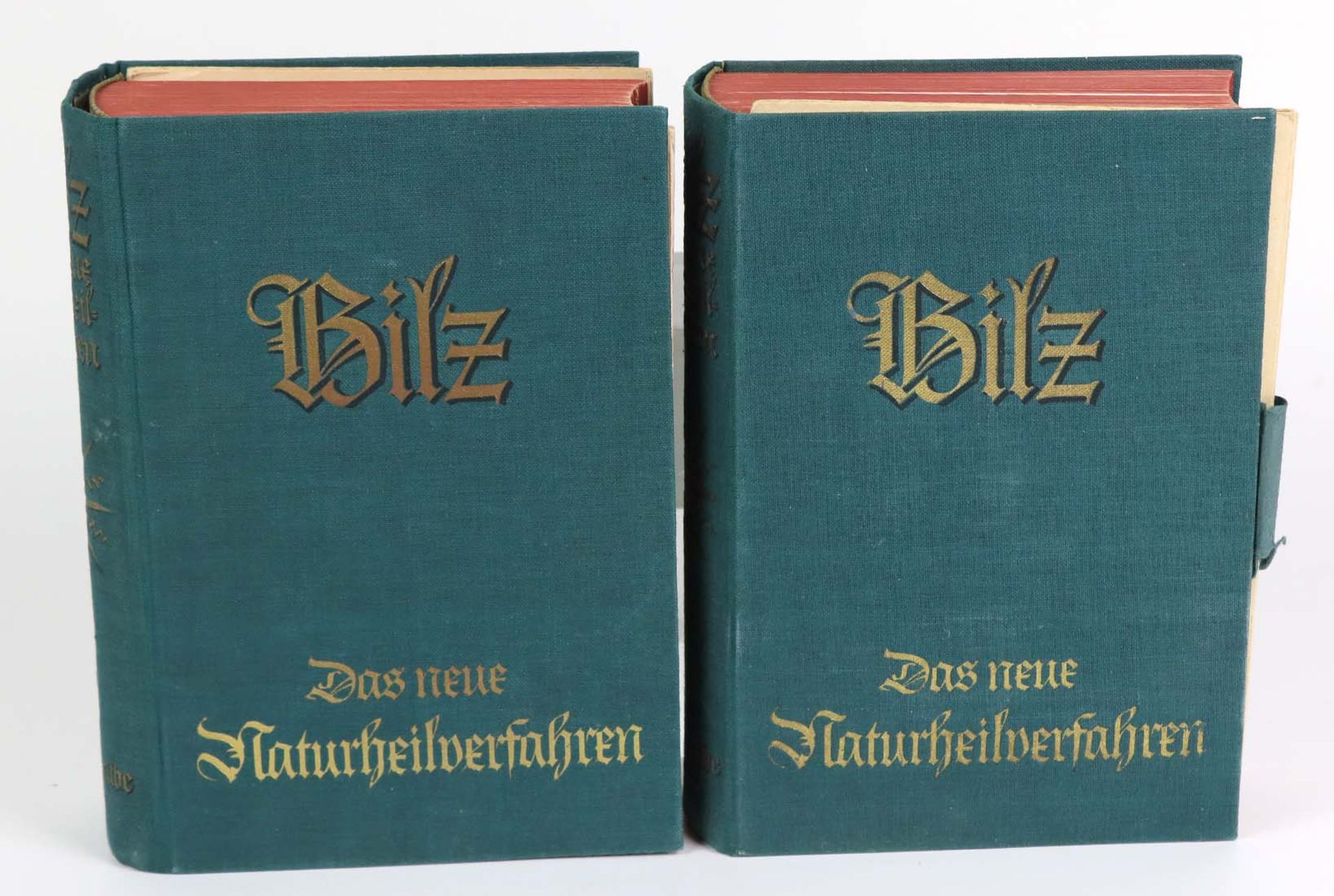 2x Bilz 2 Bände *Bilz - Das neue Naturheilverfahren* Ein Ratgeber in ...