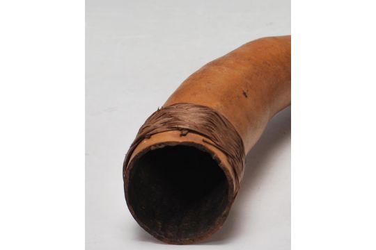 A 20th Century Papua New Guinea tribal antique Koteka horim or penis ...