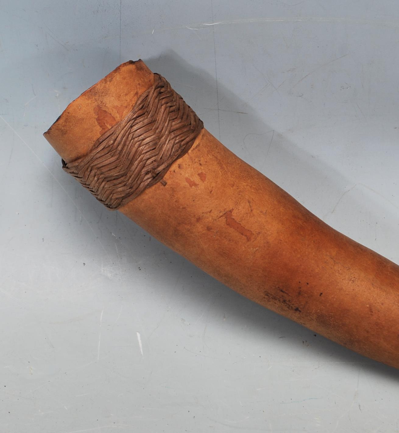 A 20th Century Papua New Guinea tribal antique Koteka horim or penis ...